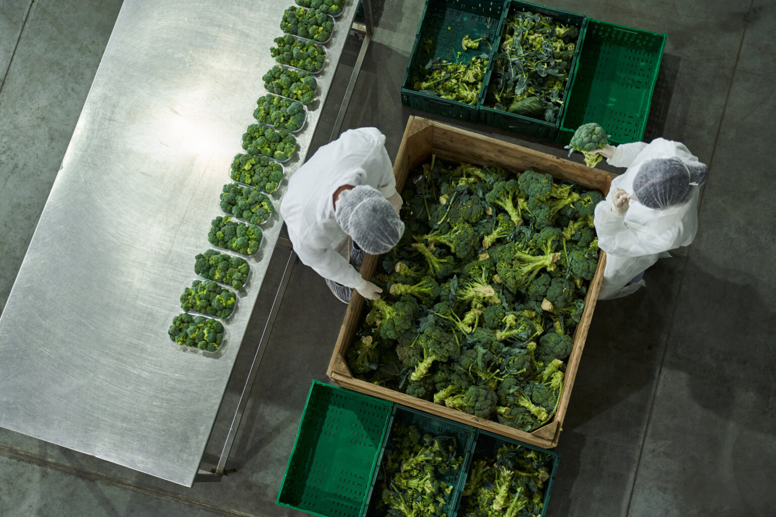 End-to-End Food Traceability: Overcoming Challenges